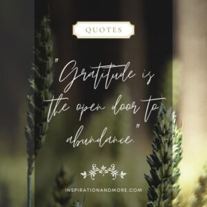 101 Abundance Quotes That Change Your Mind And Bring In Prosperity